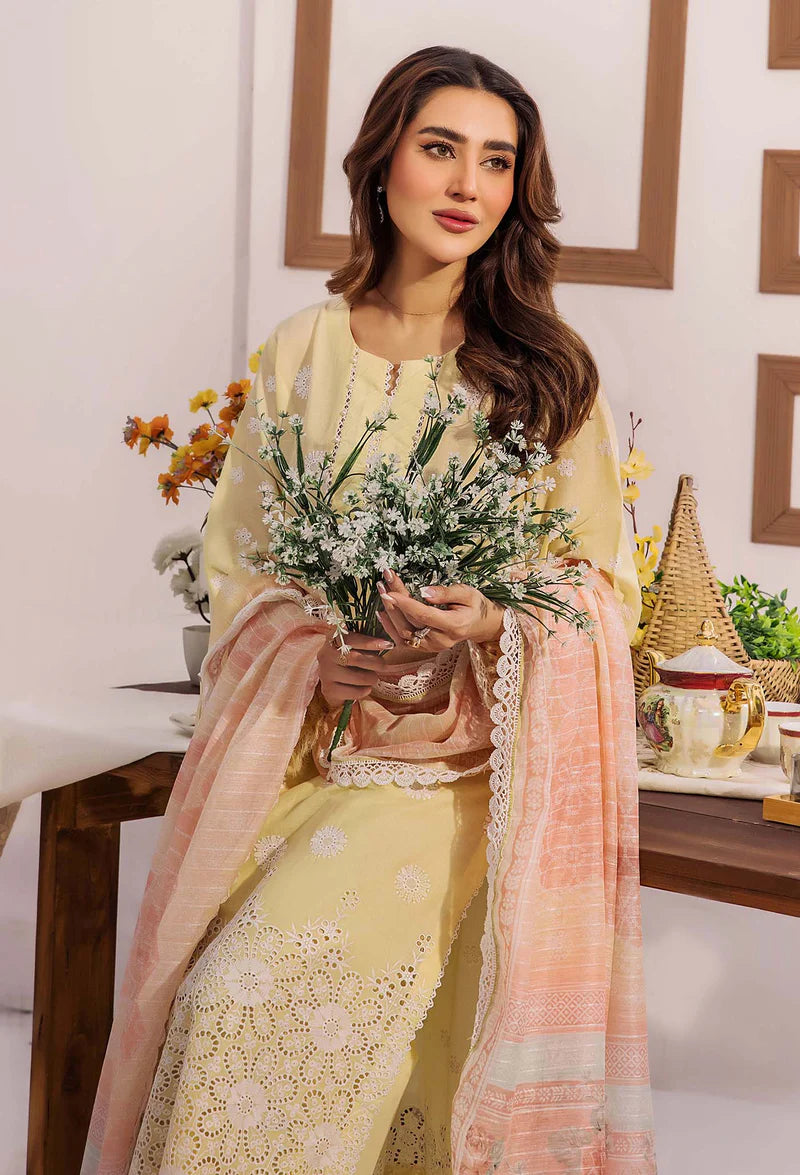 STELLA 1023 | AZM – Carveius